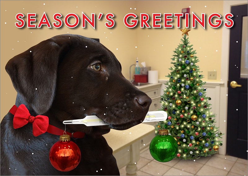 Puppy Patient Christmas Cards Customized For Your Business