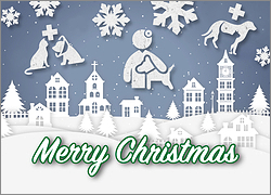 Veterinary Christmas Candy Cards Customized For Your Business