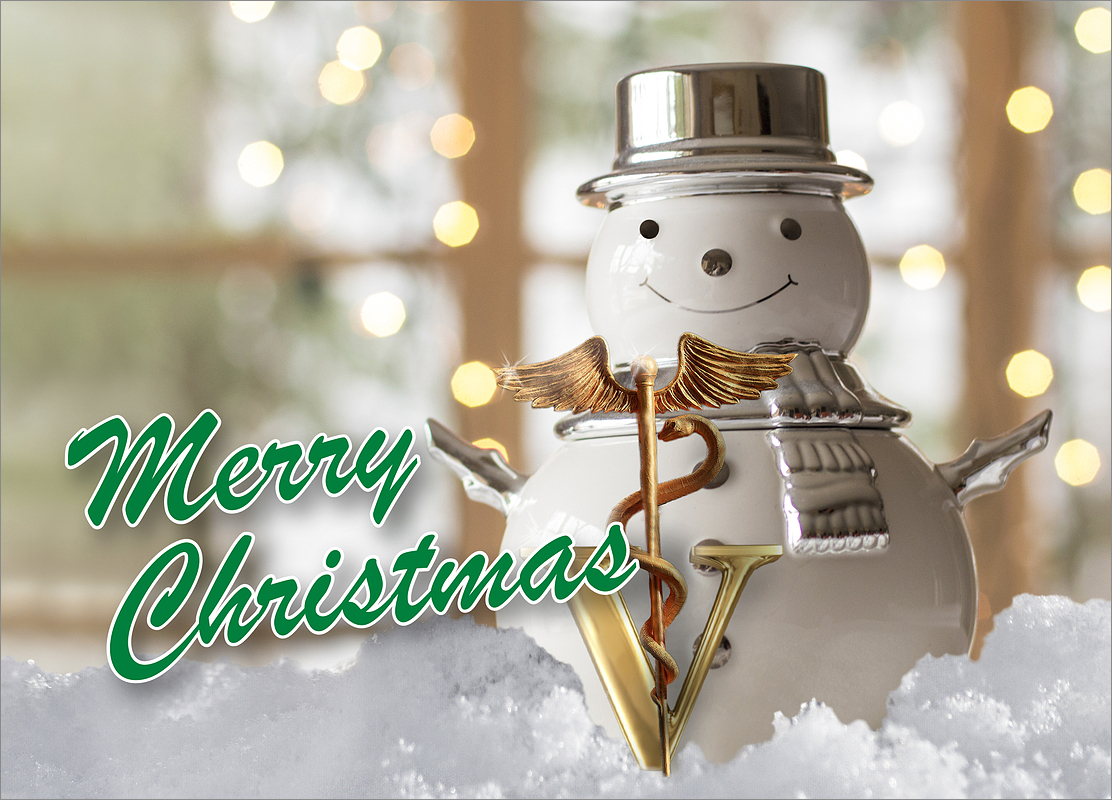 Veterinary Snowman Holiday Card (Glossy White) | Ziti Cards